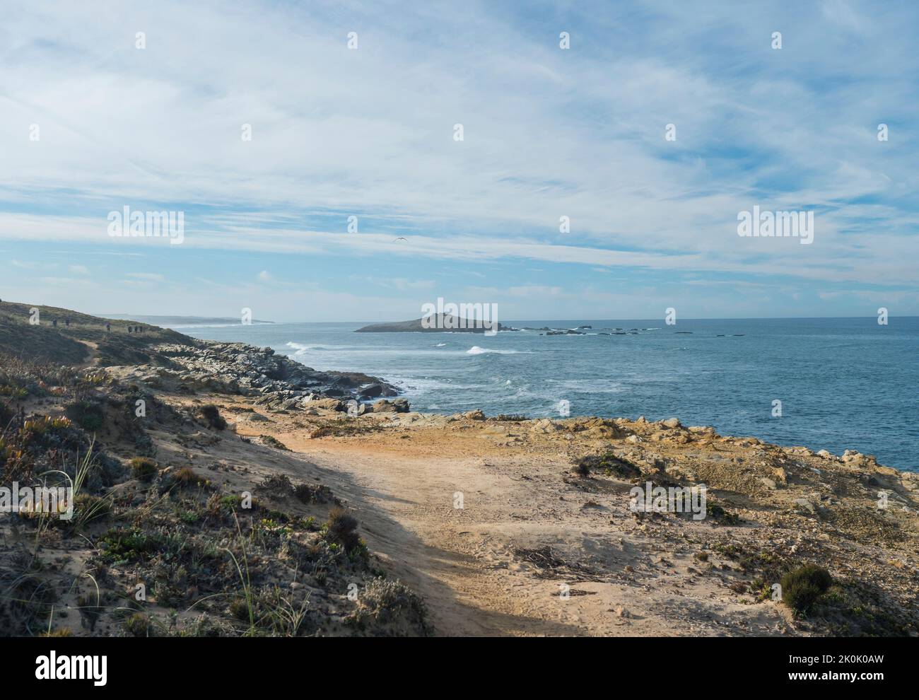 Covo plant hi-res stock photography and images - Alamy