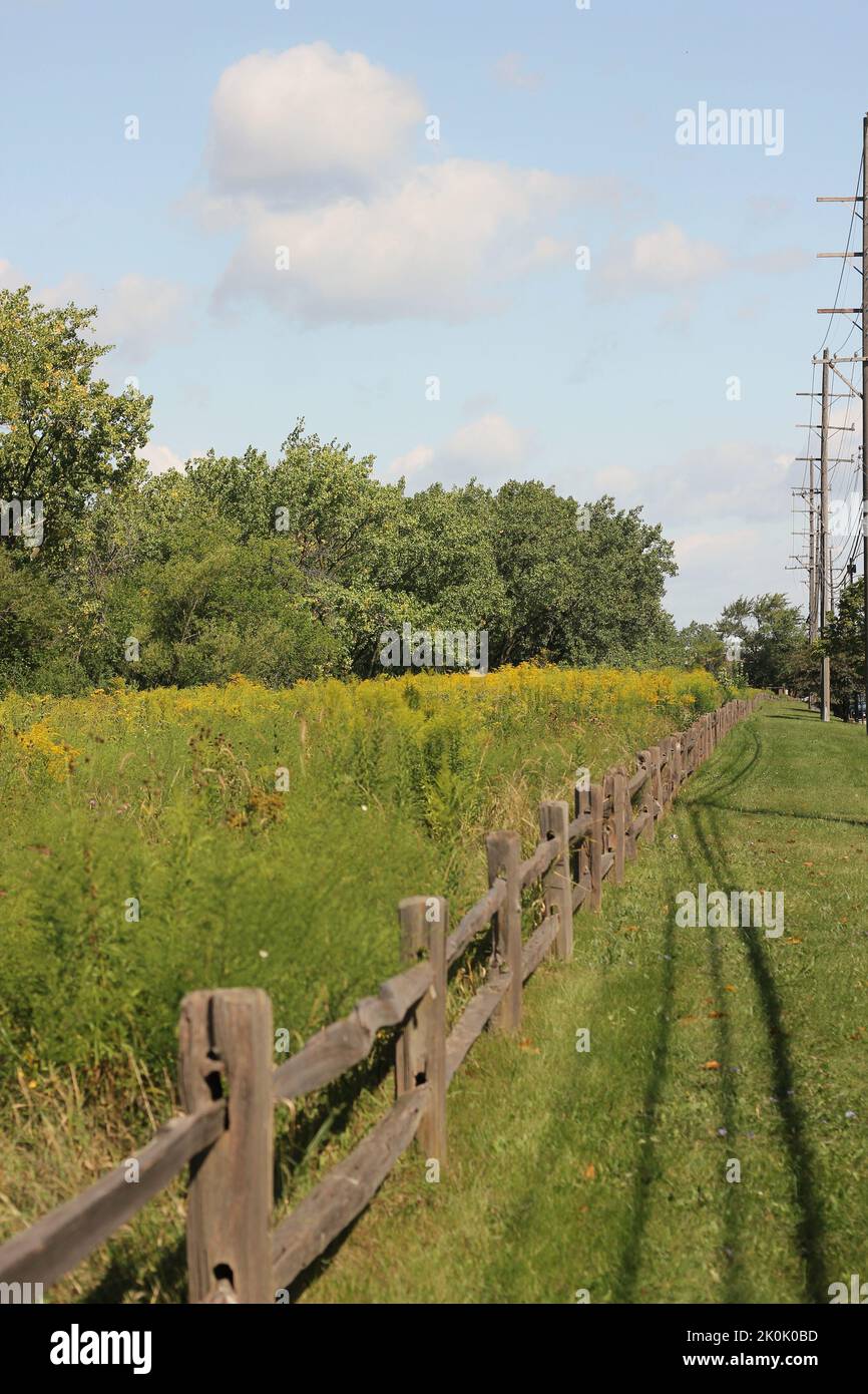 A typical standard wooden fence crossing the overgrown summer pasture ...