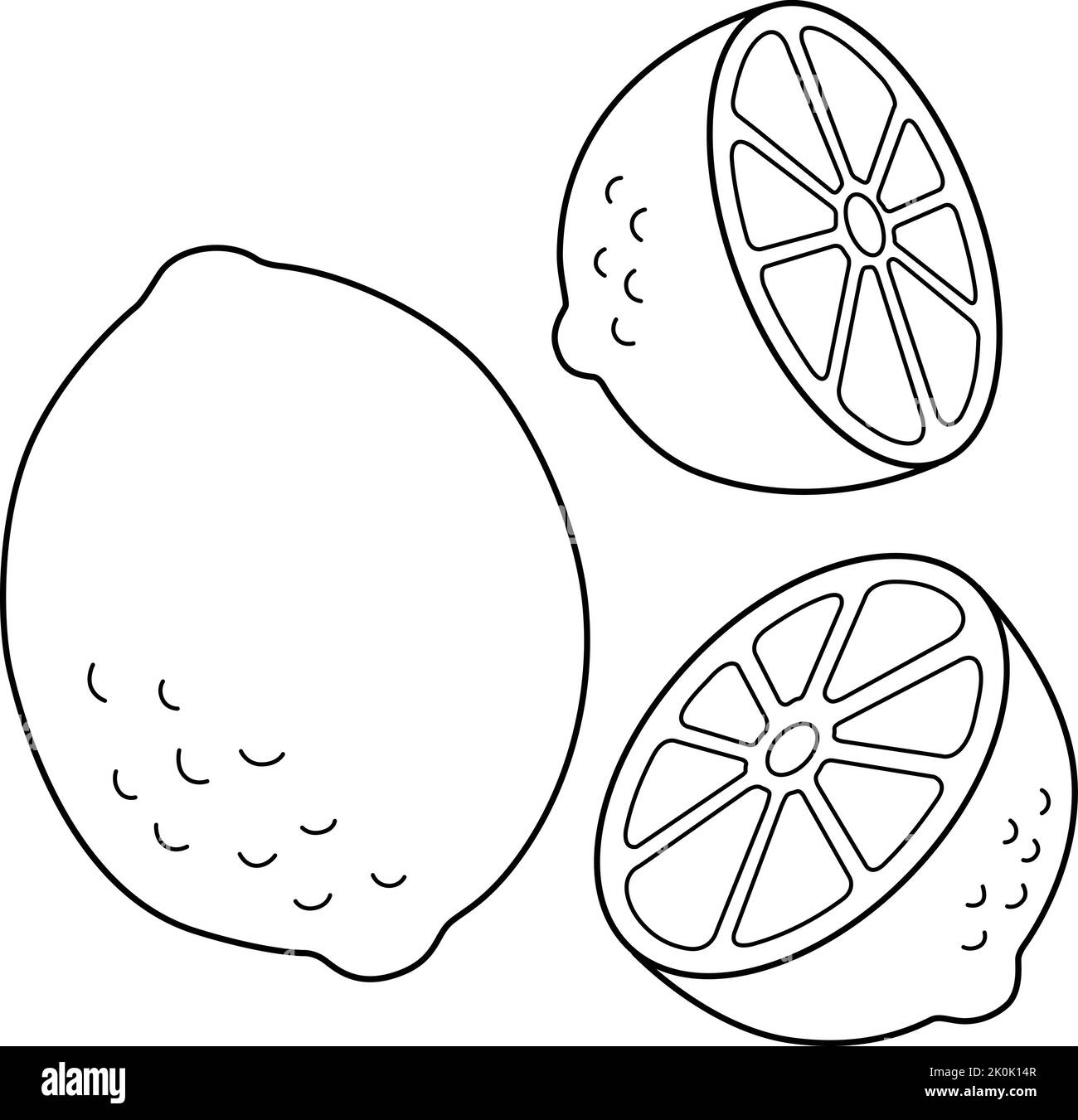 Lemon fruit line drawing Black and White Stock Photos & Images - Alamy