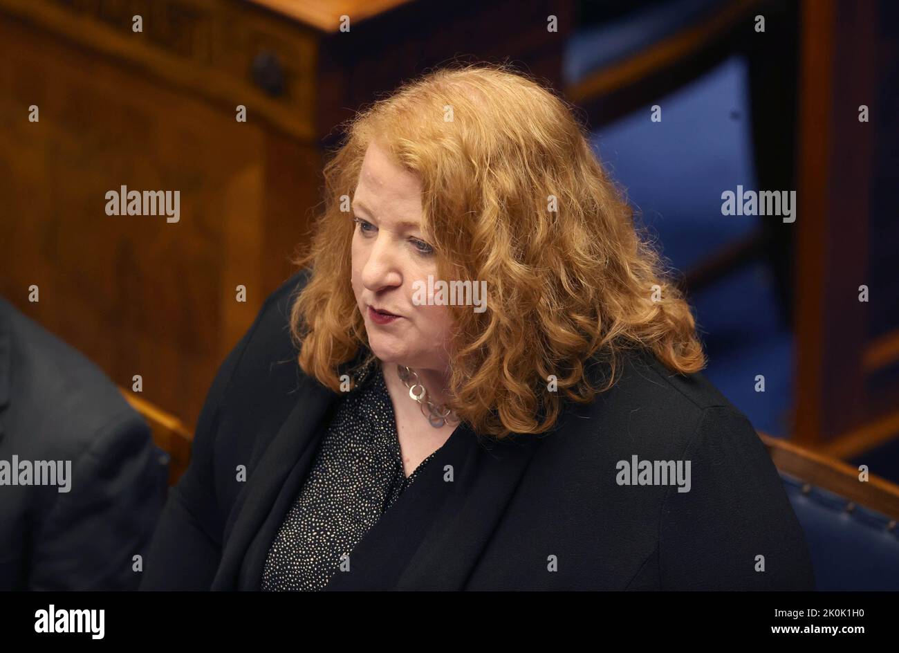 Alliance Party Leader Naomi Long Giving A Tribute In The Northern