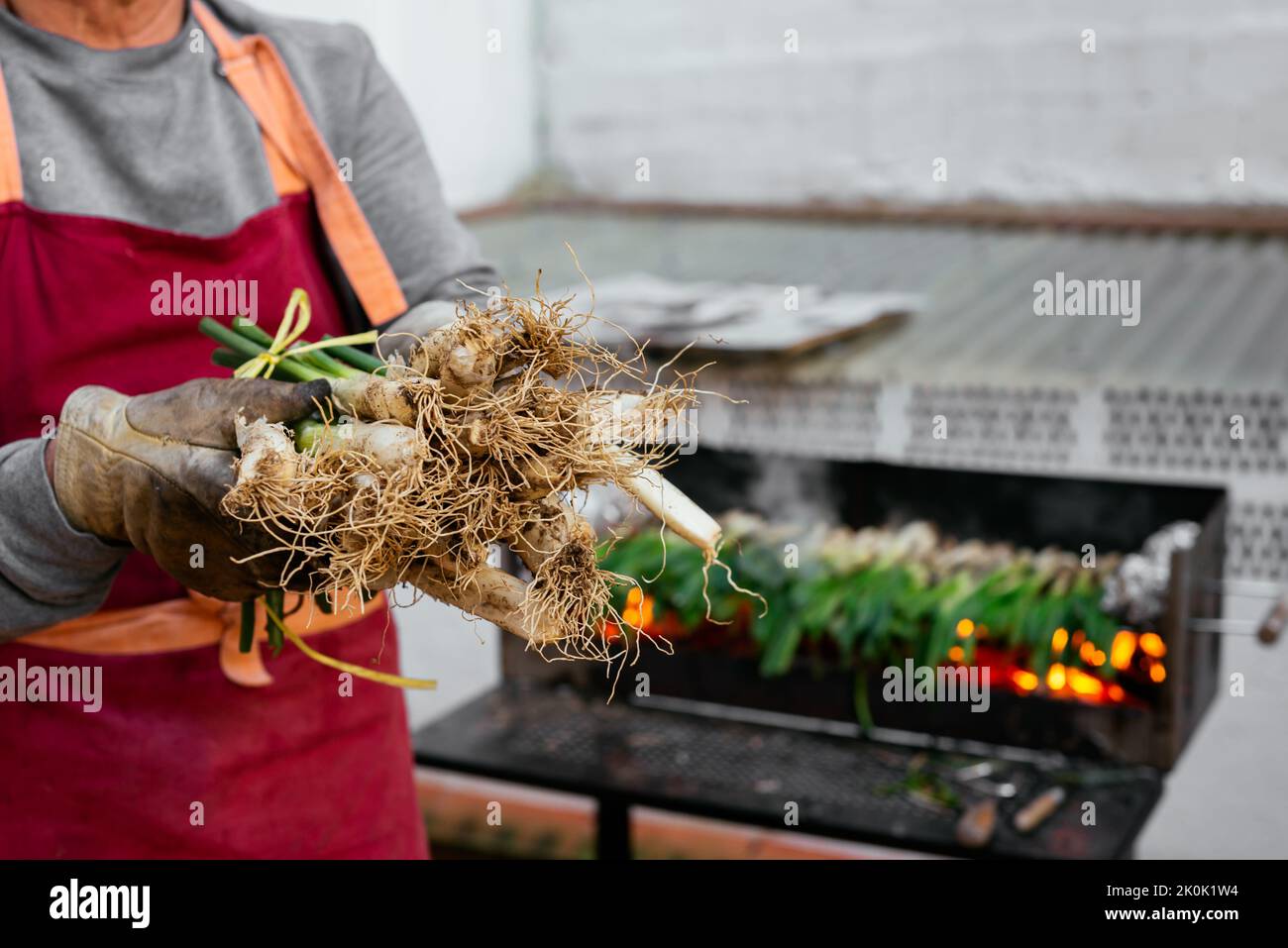 Crop male cook in apron with green traditional calcots in hand standing ...