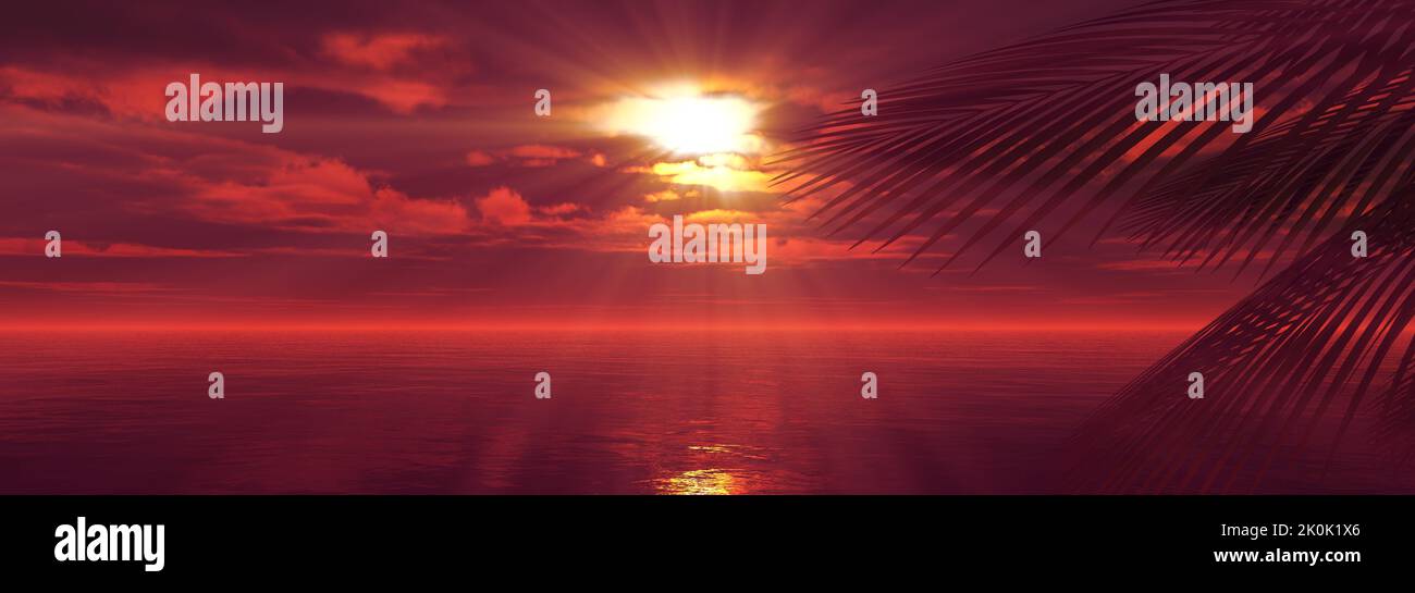 sunset sea palm landscape illustration, 3d render Stock Photo - Alamy