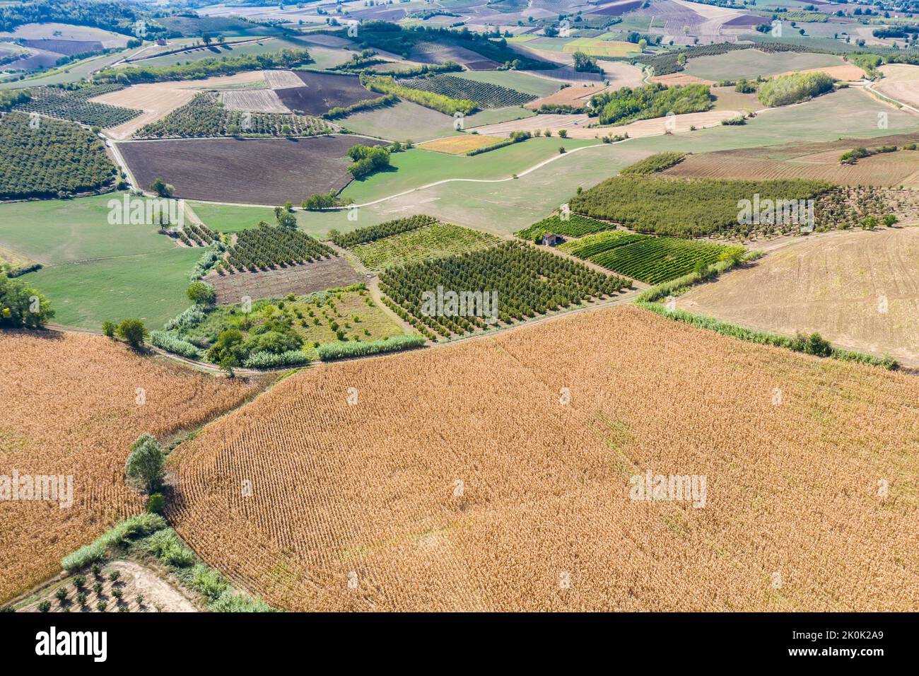 Farm fields, Piedmont, italy Stock Photo - Alamy