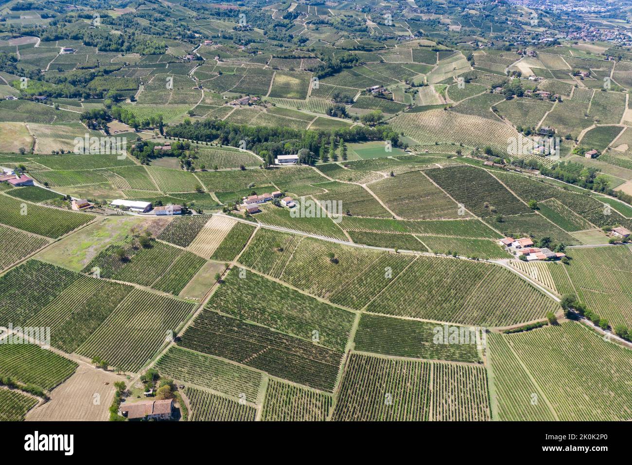 vineyards in Nizza Monferrato, Italy Stock Photo - Alamy