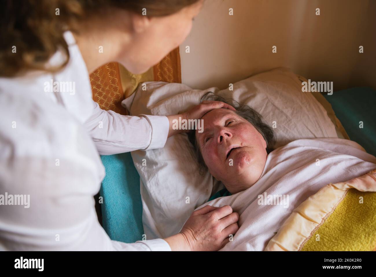 Kind female nurse touching face of woman with disability while taking ...