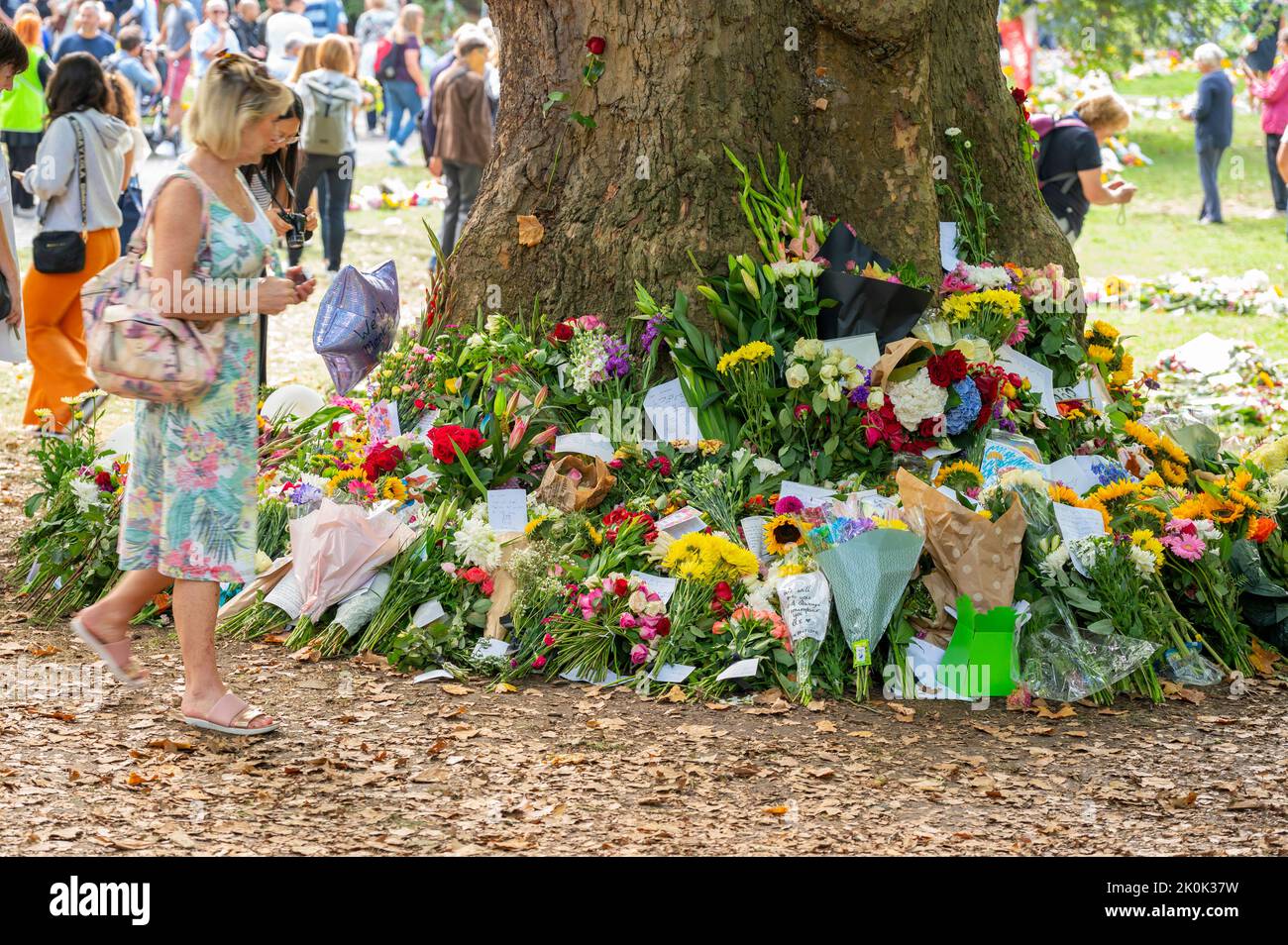 London, UK. 12 September 2022. Green Park adjacent to Buckingham Palace ...