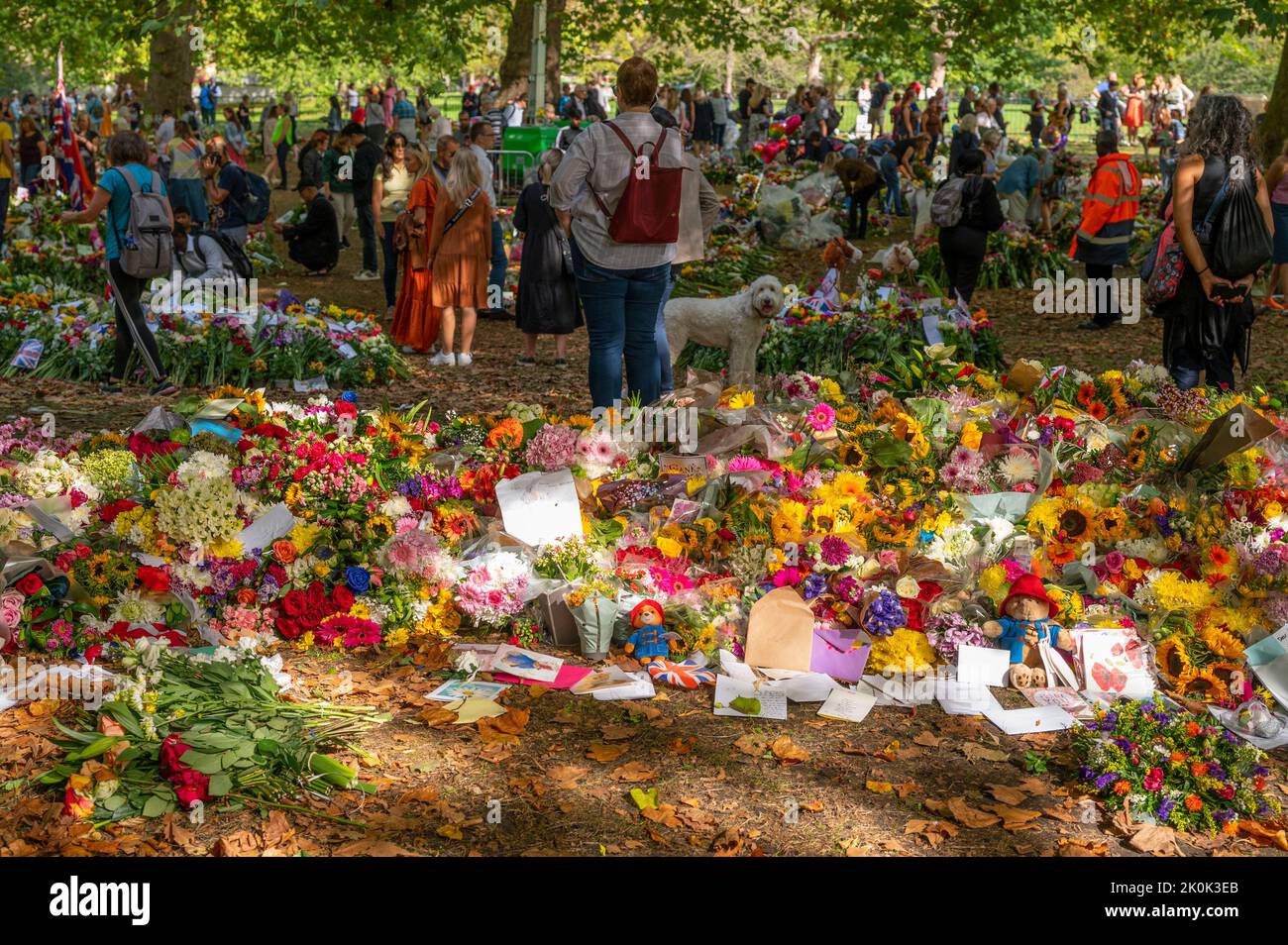 London, UK. 12 September 2022. Green Park adjacent to Buckingham Palace ...