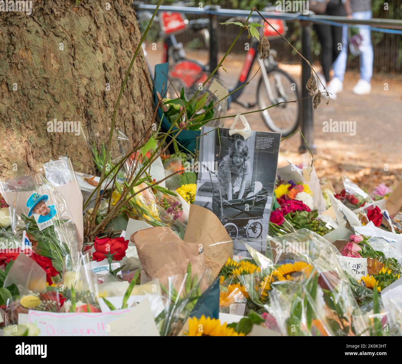 London, UK. 12 September 2022. Green Park adjacent to Buckingham Palace ...