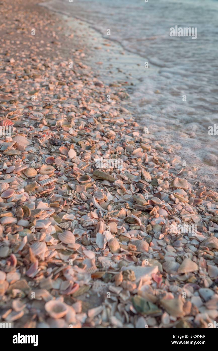 Sarasota waterfront hi-res stock photography and images - Alamy