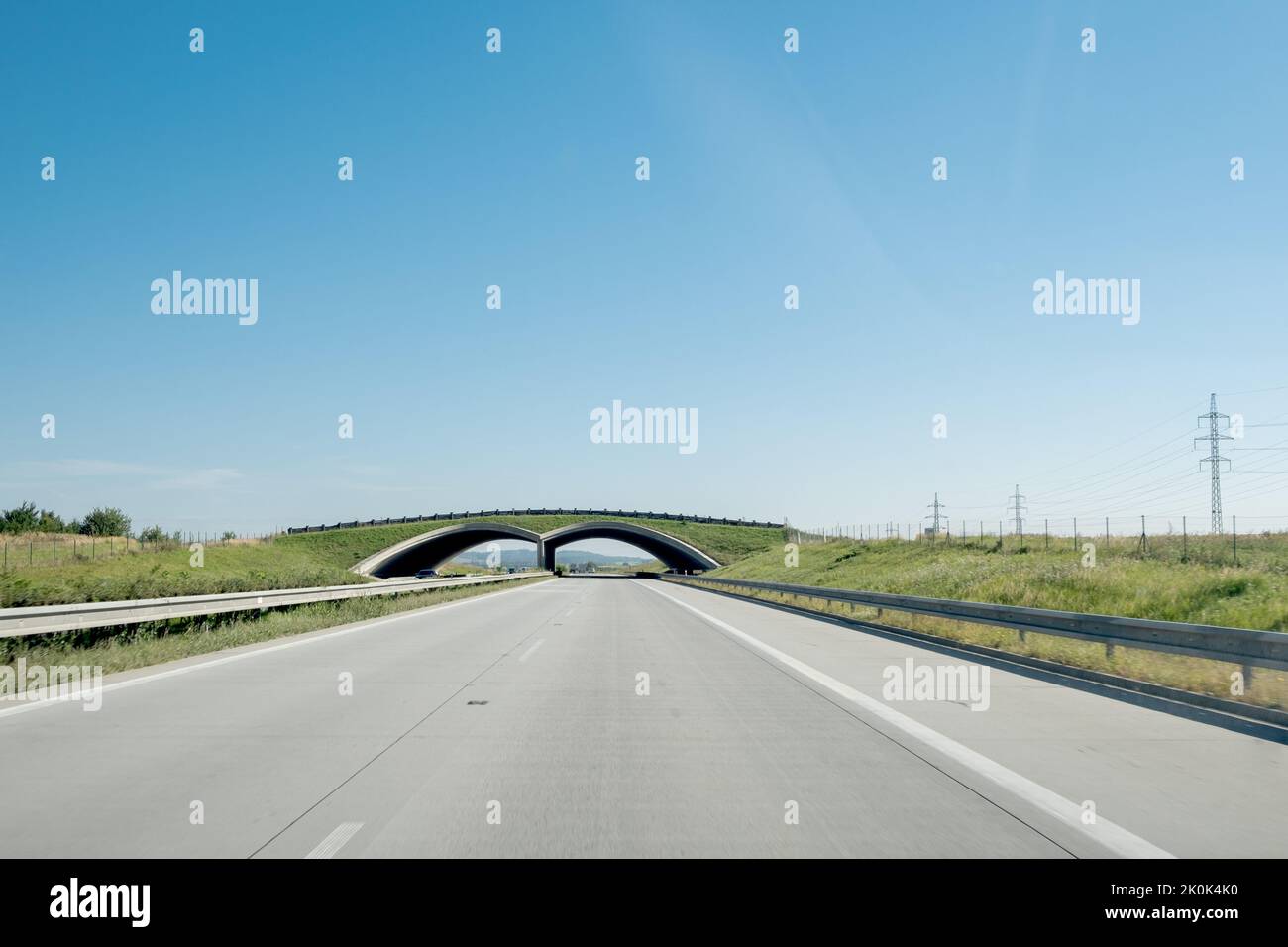Animals road cross bridges hi-res stock photography and images - Alamy