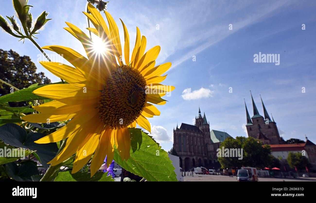 Tde background hi-res stock photography and images - Alamy