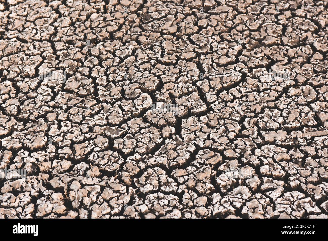 Cracked soil texture in the desert, La pampa Province, Patagonia ...