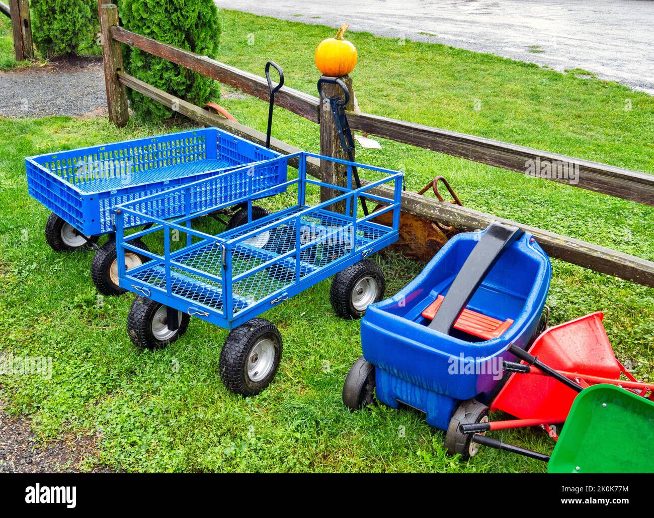 Empty kid's carts on rainy day on the farm Stock Photo - Alamy