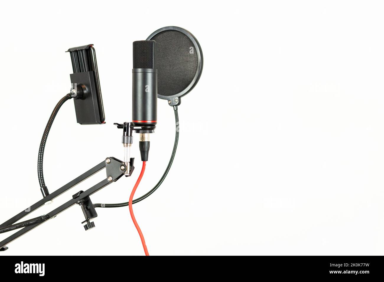 Contemporary professional black microphone on stand with wires and ...