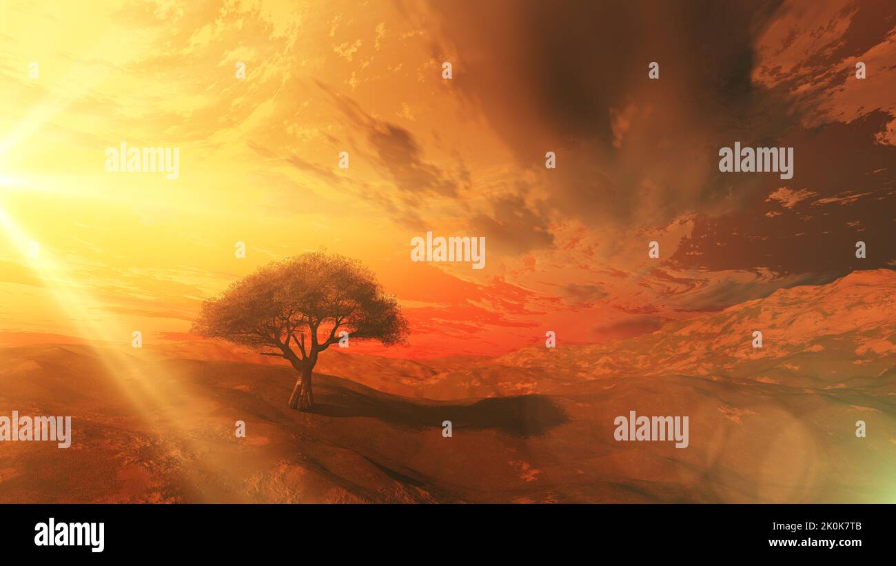 sunset at meadow and lonely tree, 3d render illustration Stock Photo ...