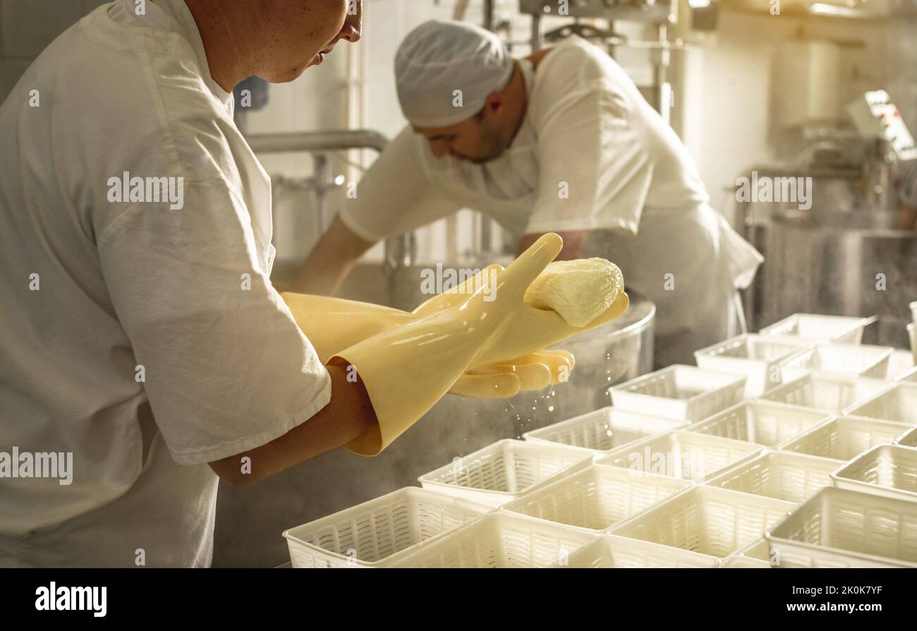 The process of producing different varieties of cheese in industry ...