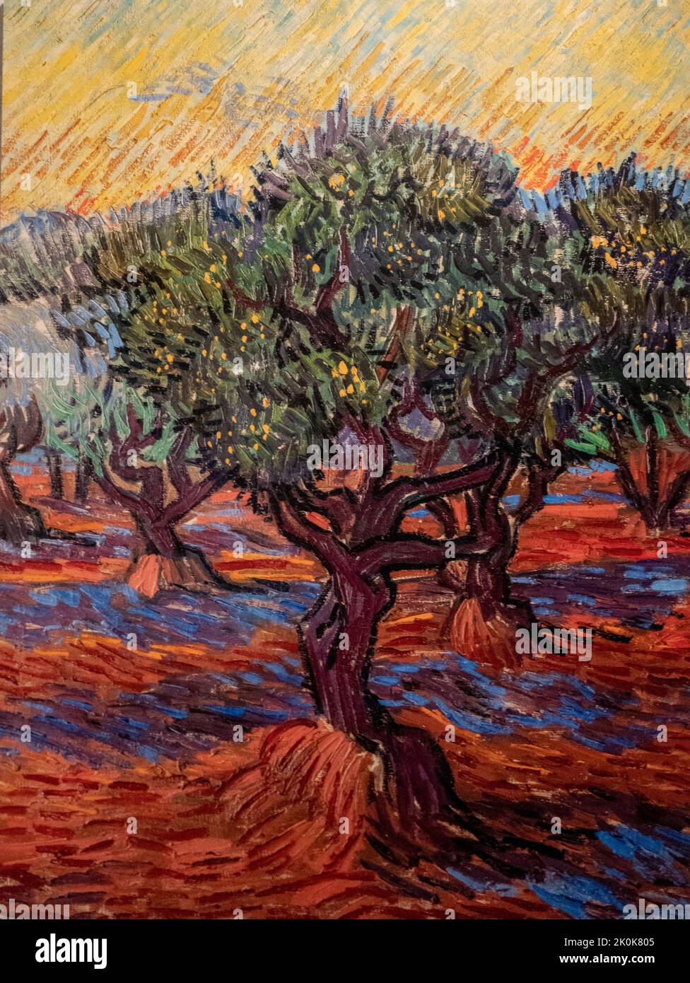 Olive Grove Saint Remy by Vincent van Gogh, 1889 Stock Photo - Alamy