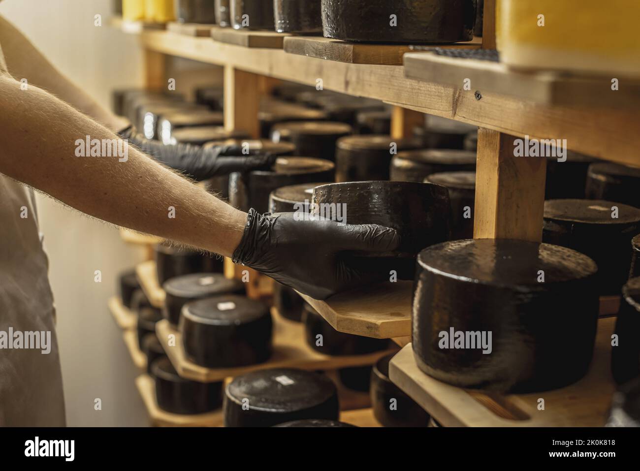 A farmer turns over cheese heads on wooden shelves in the cheese ...