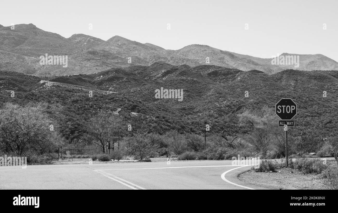 A grayscale shot of a country road with a stop sign, surrounded by ...