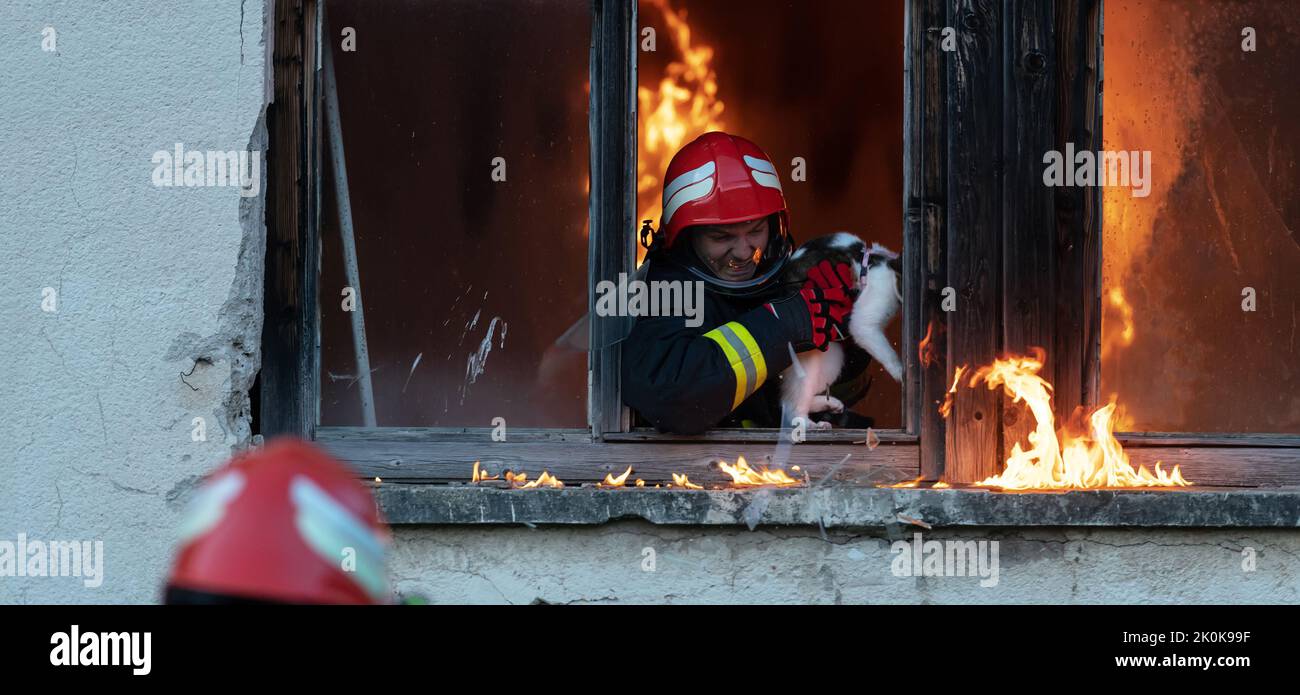Firefighter hero carrying baby girl out from burning building area from ...