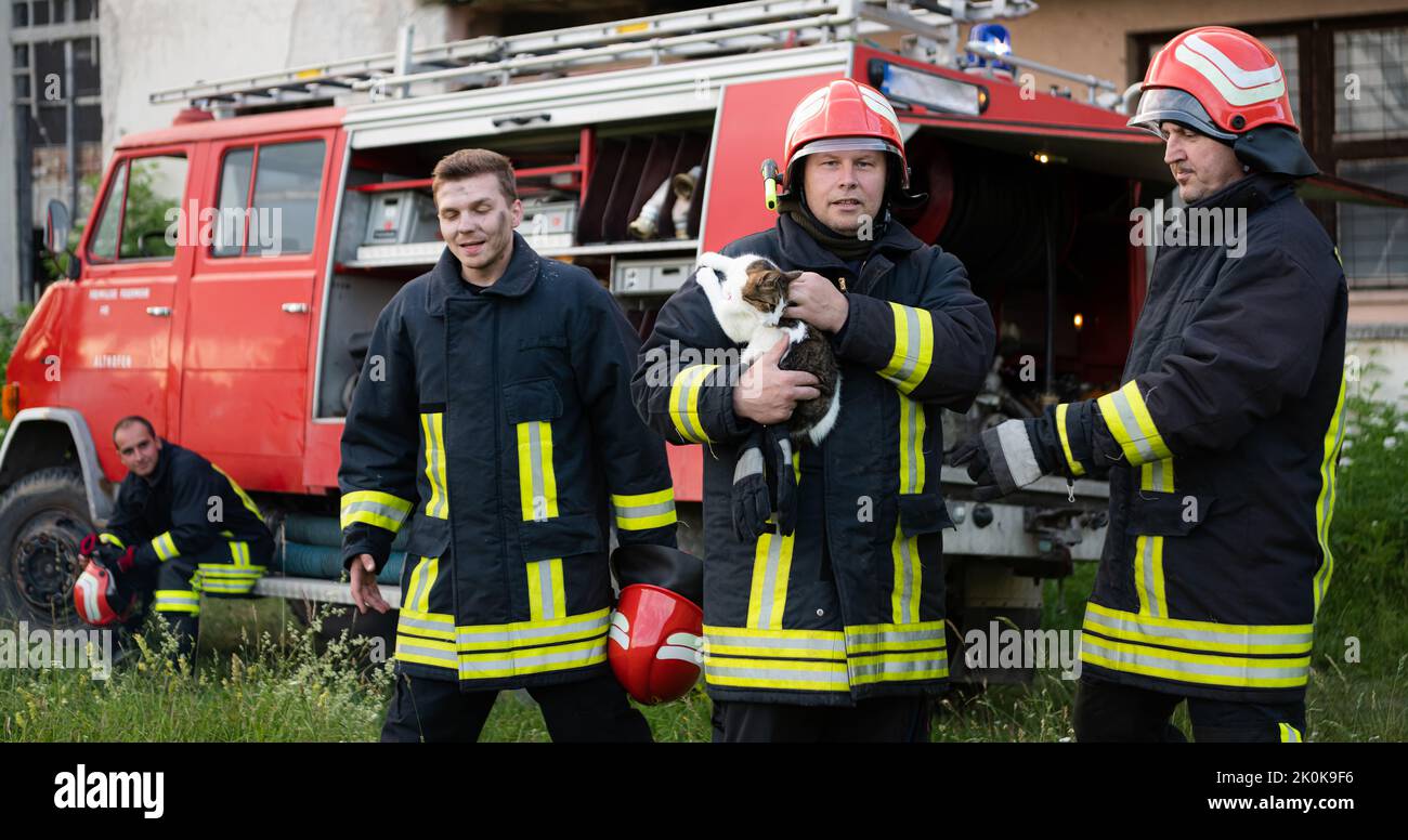 firefighters group in a protective suit and red helmet holds saved cat ...