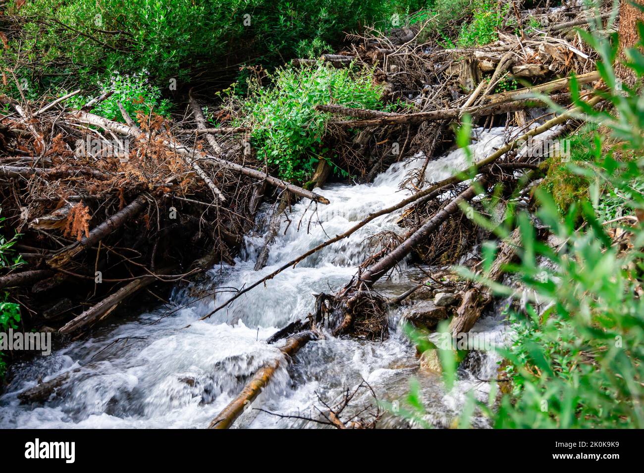 A stream running down a mountain Stock Photo - Alamy