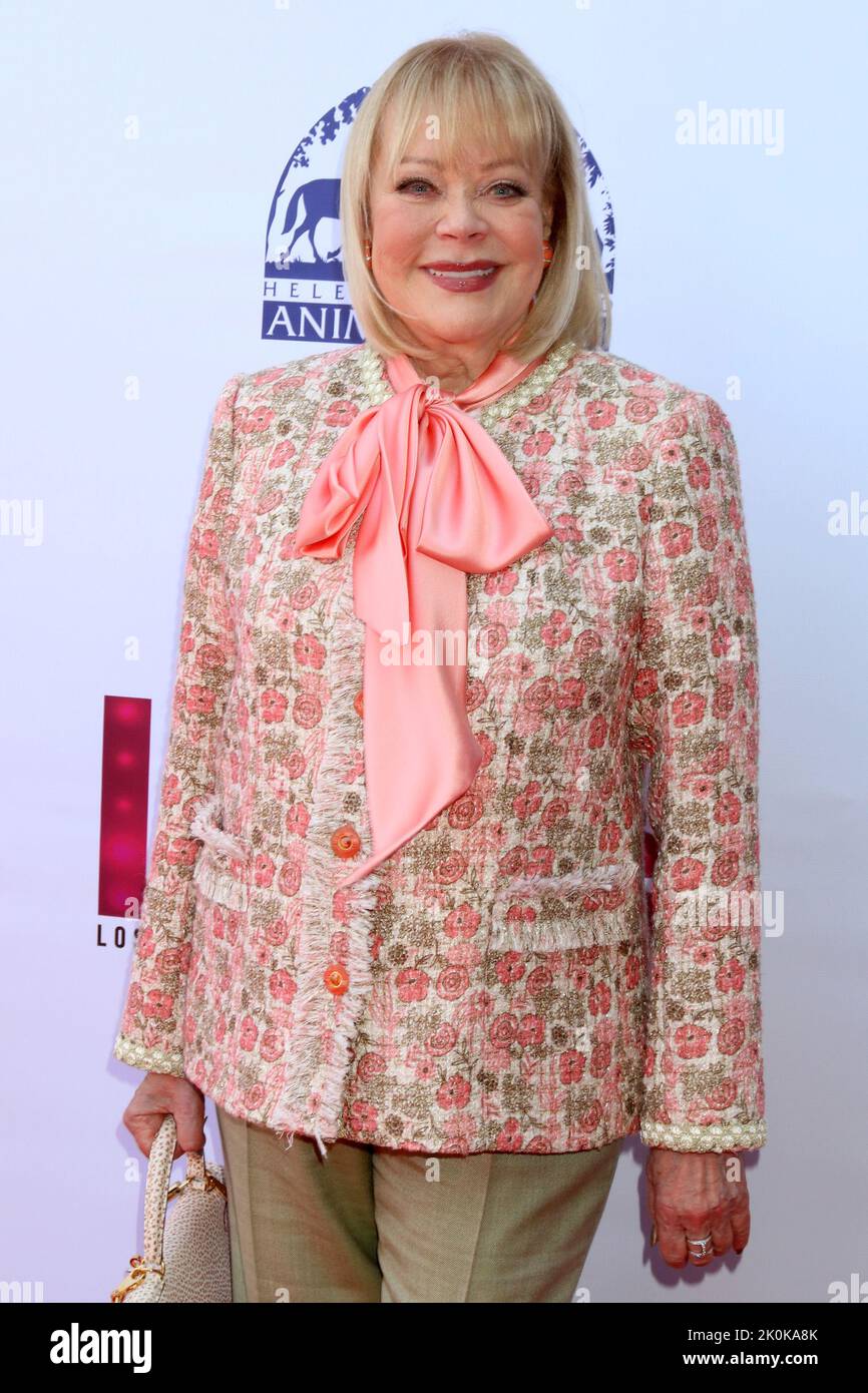 2022 daytime beauty awards hi-res stock photography and images - Alamy