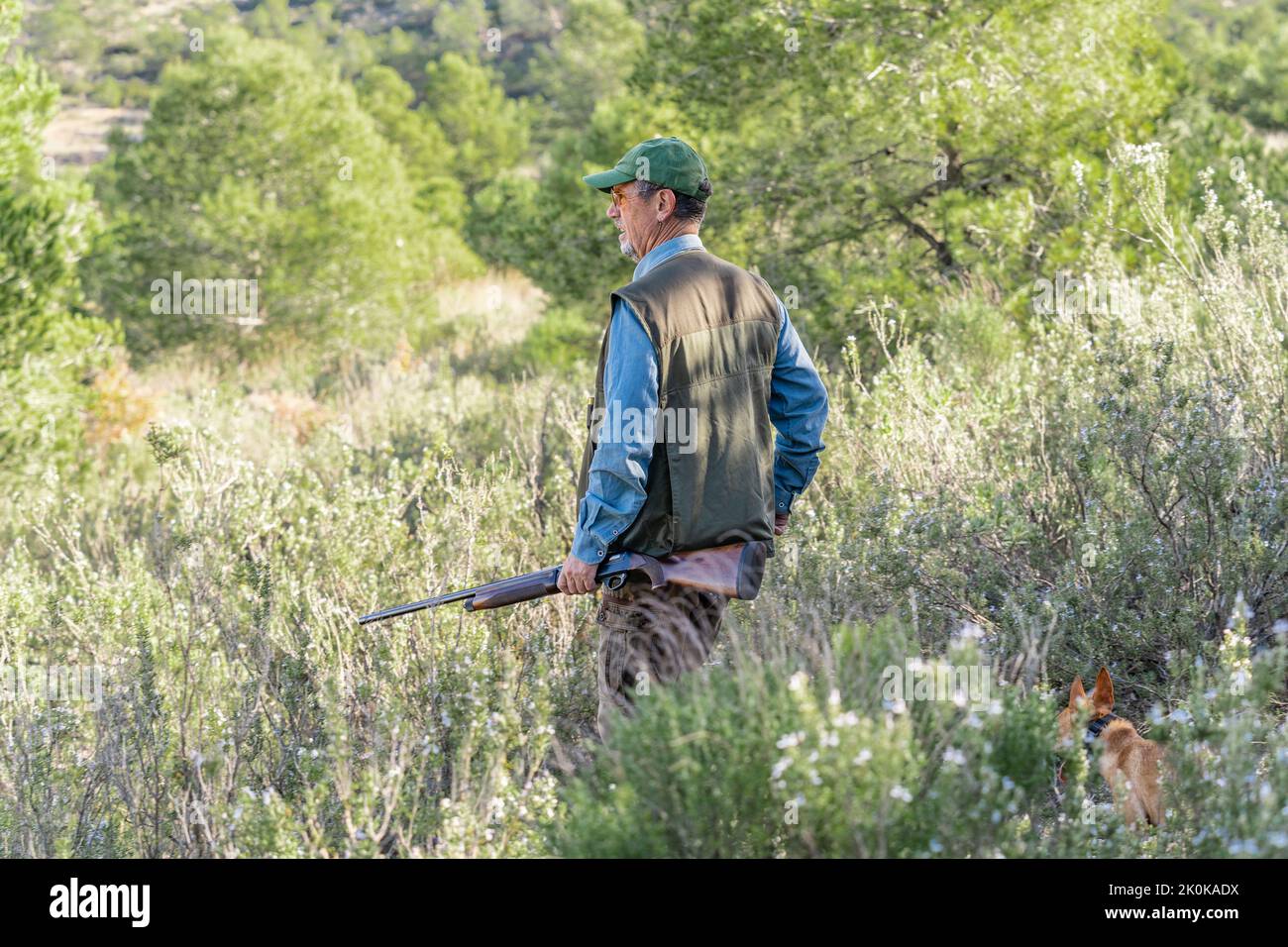 Hunter holding rifle looking away hi-res stock photography and images ...
