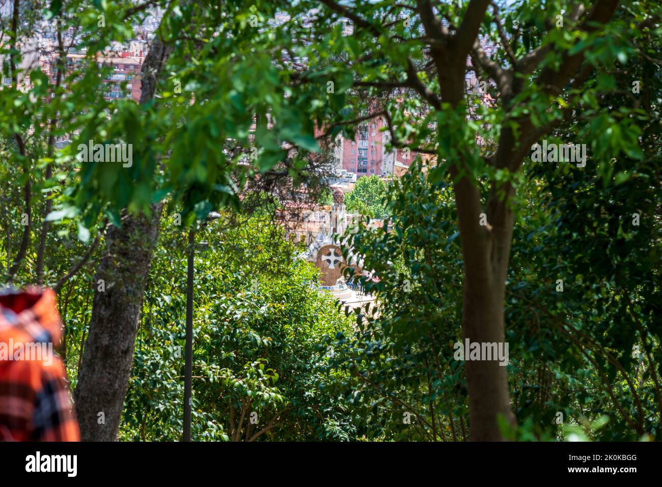Buildings through trees hi-res stock photography and images - Alamy