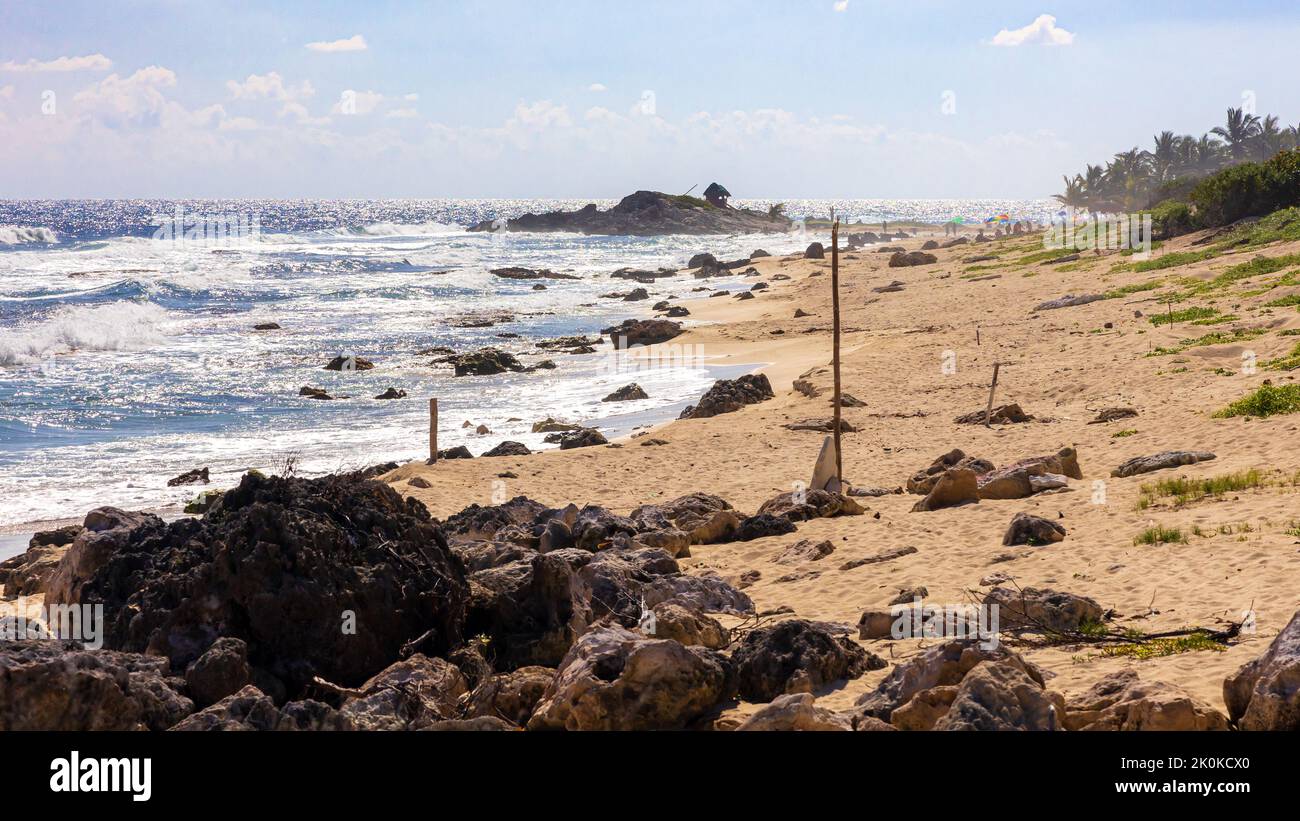 Ocean, beach, and rocks of Cozumel Mexico Stock Photo - Alamy