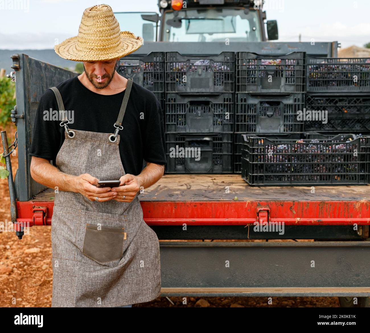Adult male in hat and apron browsing smartphone and leaning on truck ...