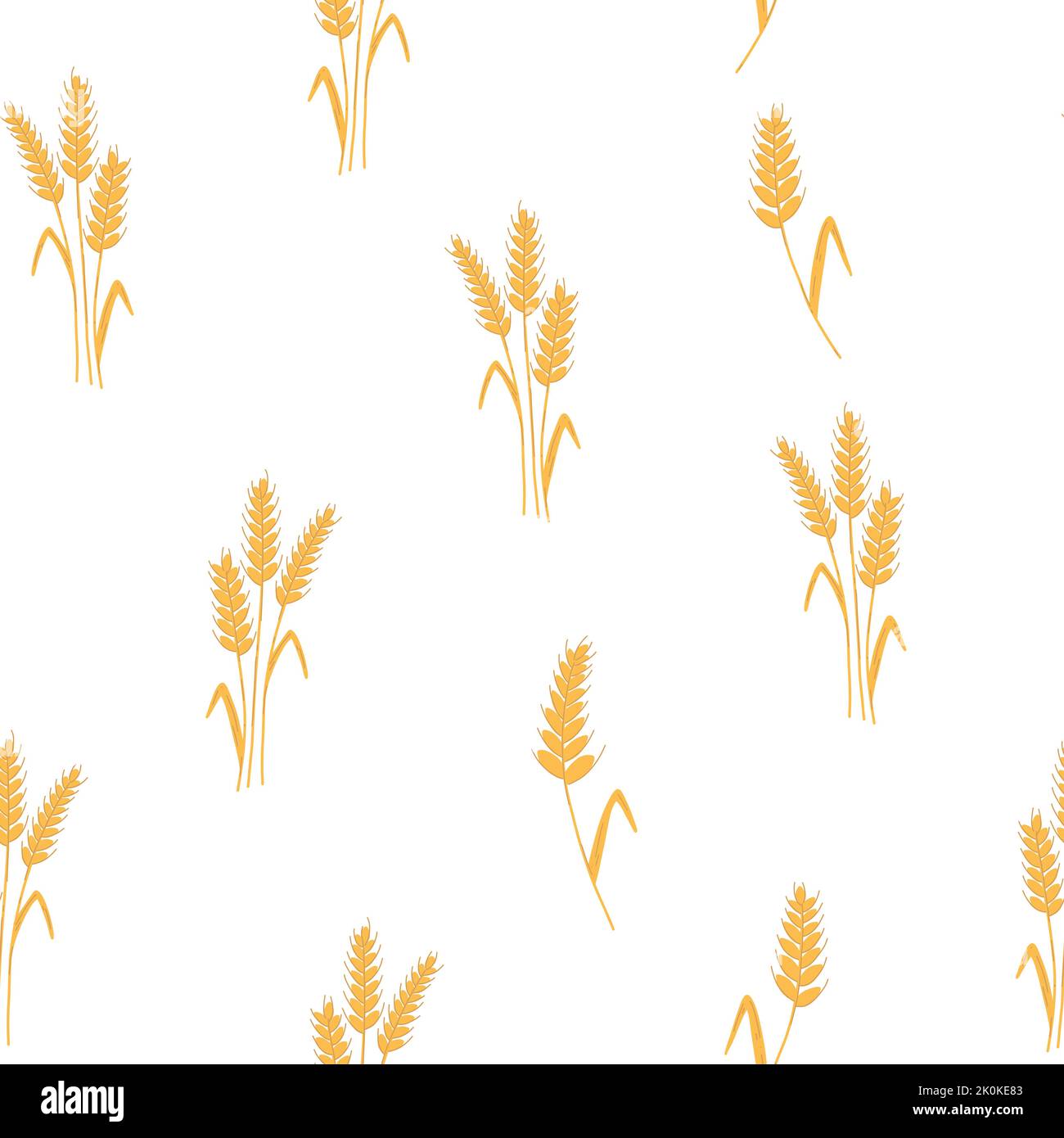 Seamless pattern with spikelets and grains of wheat on white background ...