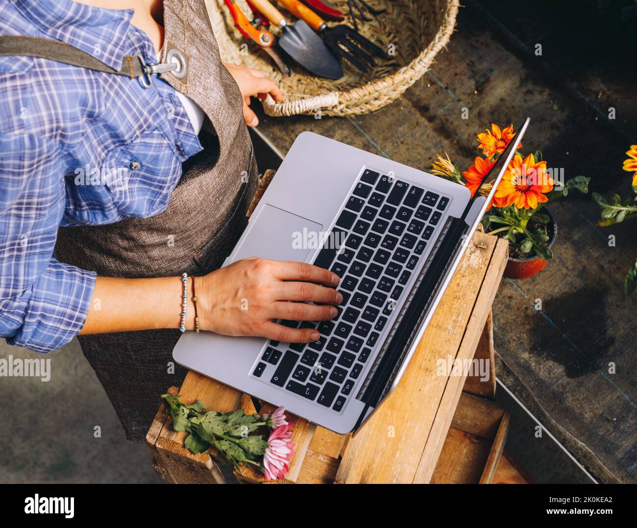 From above side view of crop woman in apron standing at wooden counter ...