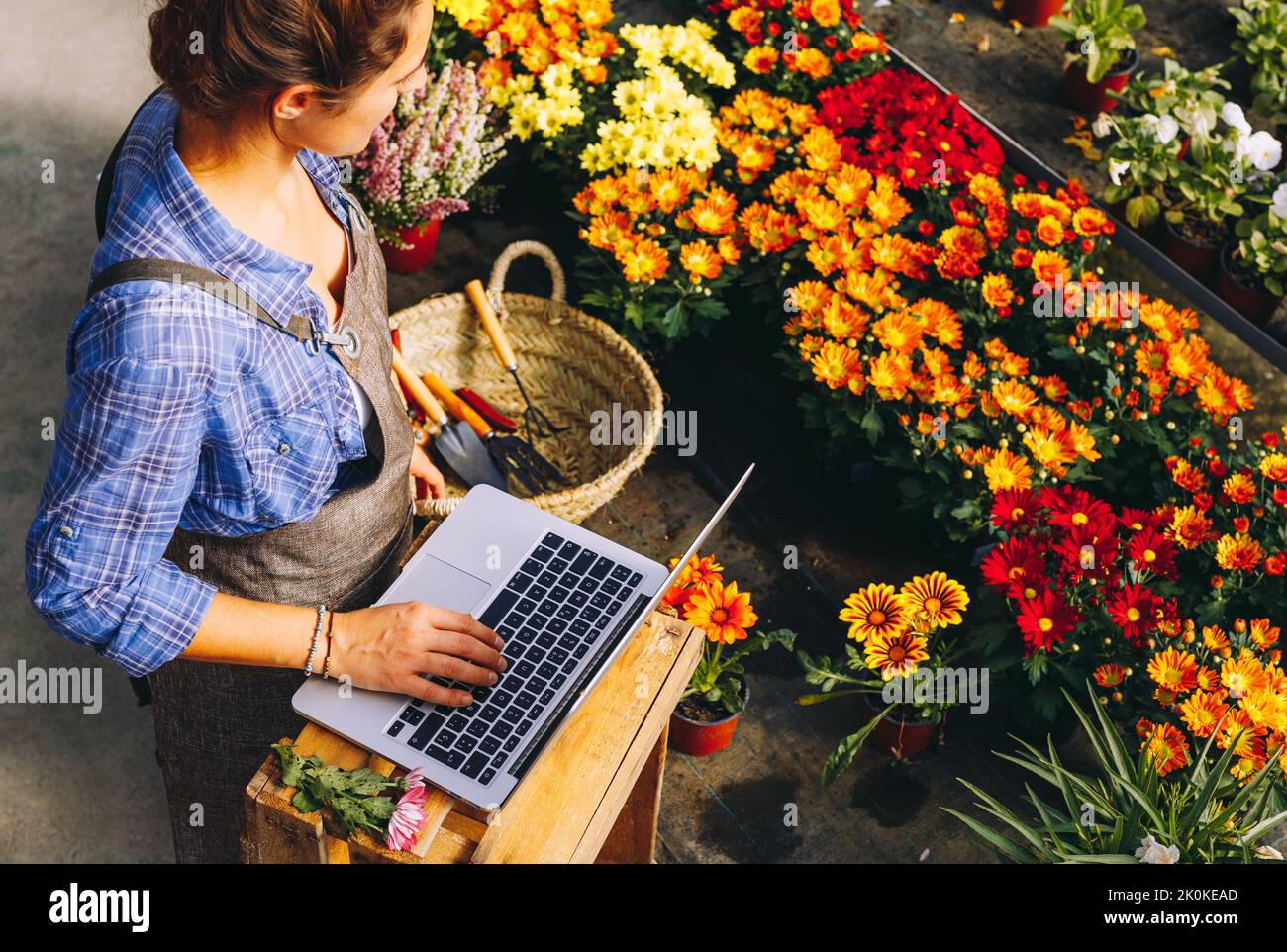 From above side view of crop woman in apron standing at wooden counter ...
