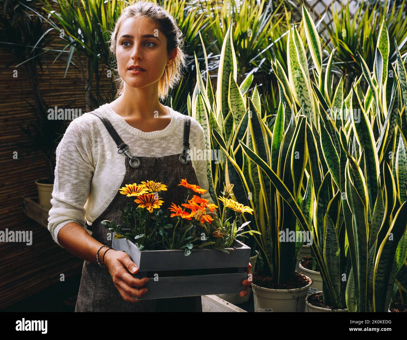 Young female owner of greenhouse holding in hands wooden tray with ...