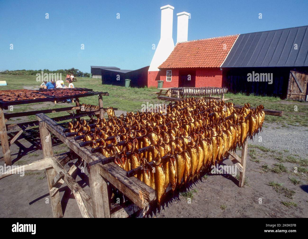 DENMARK Bornholm smoked fish directly from the smoke to the tourists ...