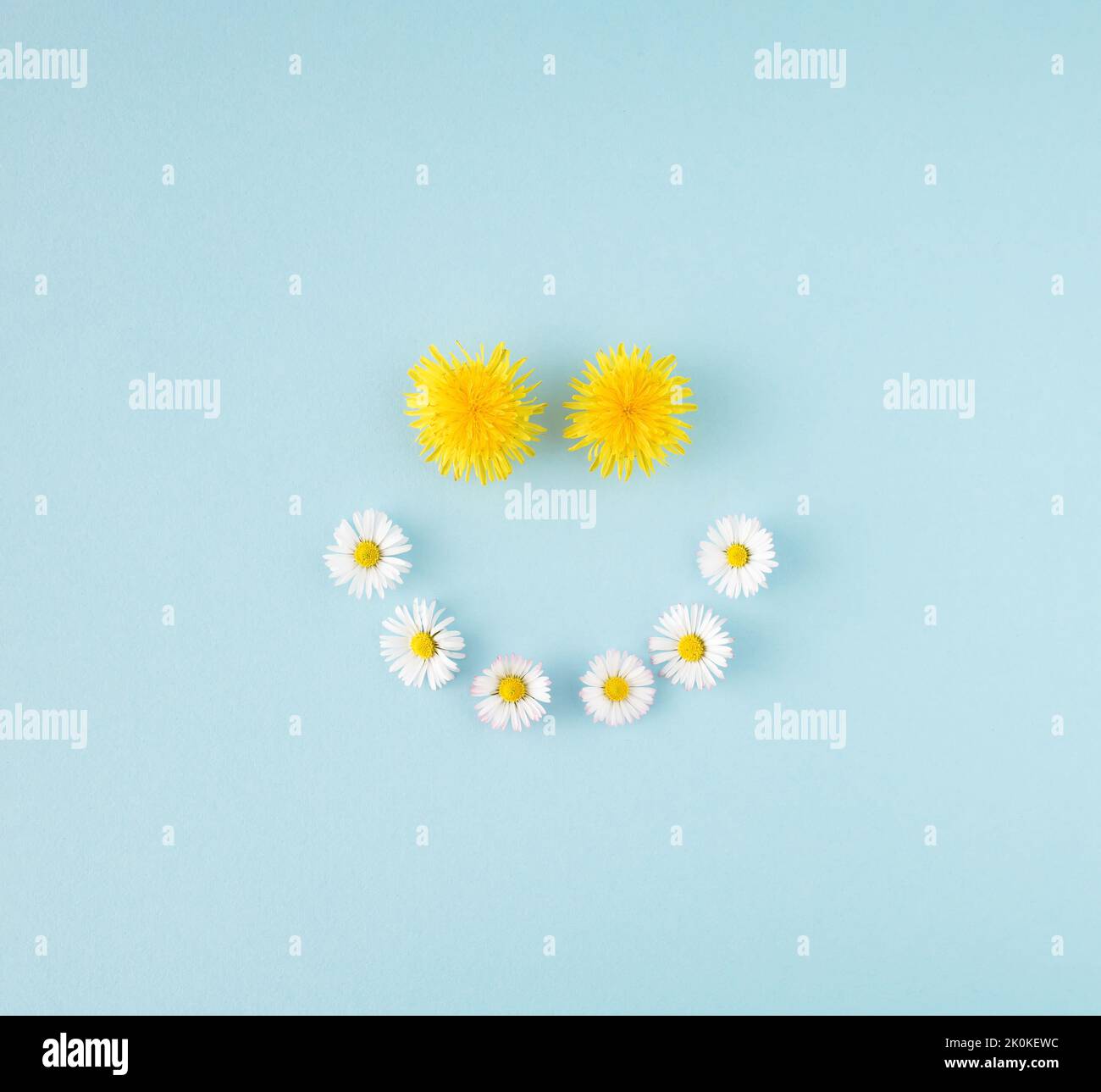 Spring background with smiling face made of yellow dandelions and ...