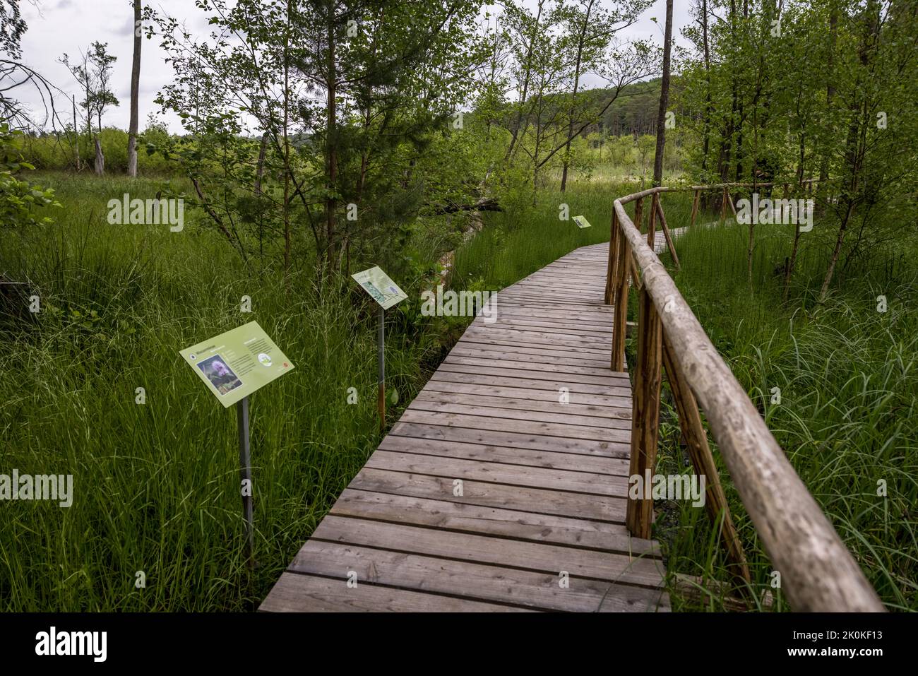 Marsh area, observation towers for nature observation and network of ...