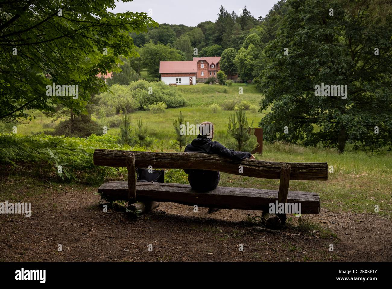 Marsh area, observation towers for nature observation and network of ...