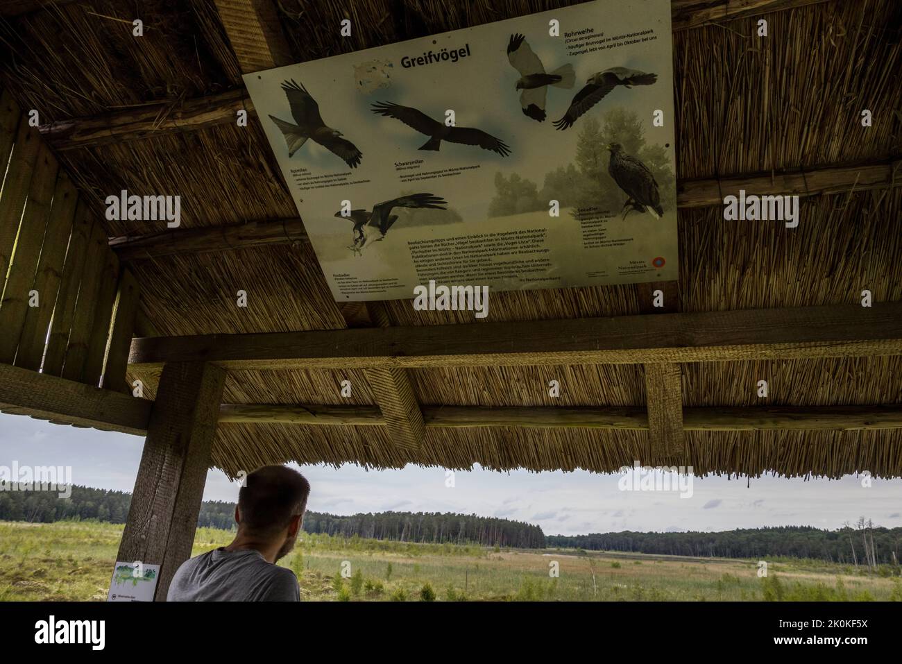 Marsh area, observation towers for nature observation and network of ...