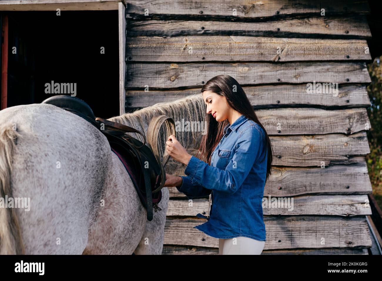 Young brunette in denim shirt caressing beautiful white horse in ...
