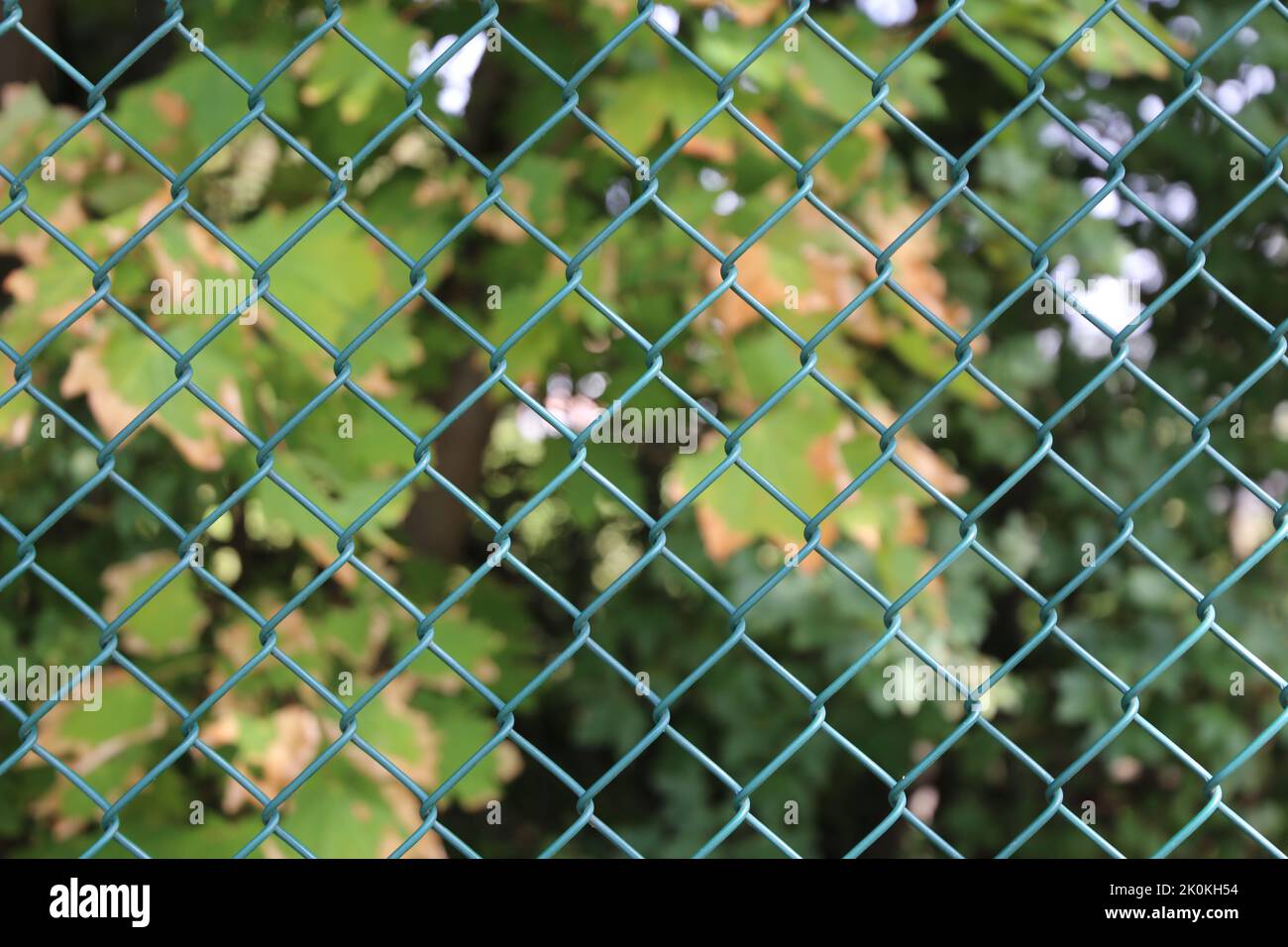 Grüner Maschendrahtzaun als Gartenbegrenzung Stock Photo - Alamy