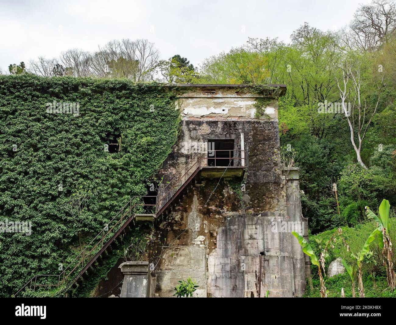 Abandoned building overgrown with ivy in green park. Outdoor steps lead ...