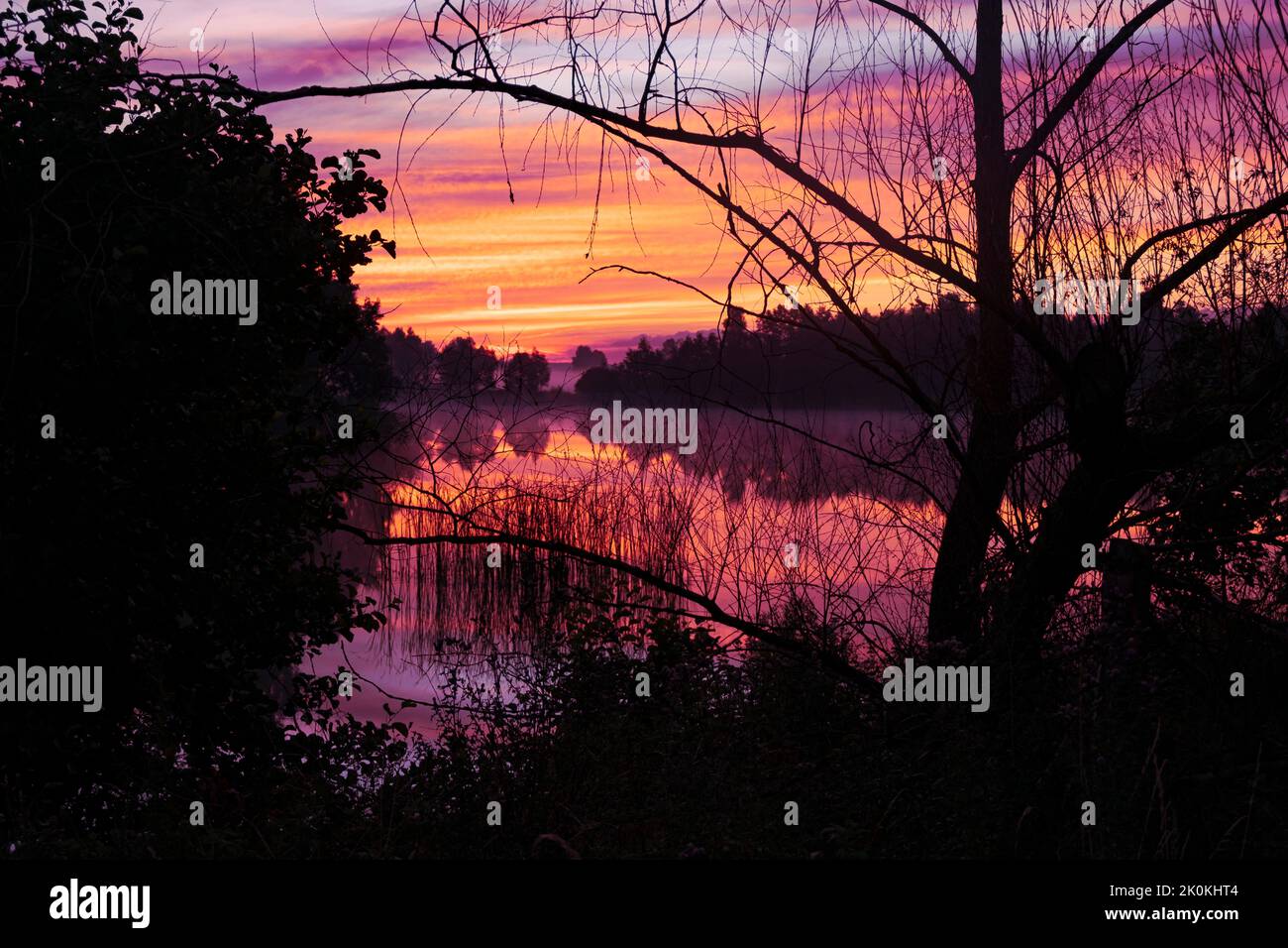 Scenic sunrise by the lake with morning fog. Pastel colors of sky, mist ...