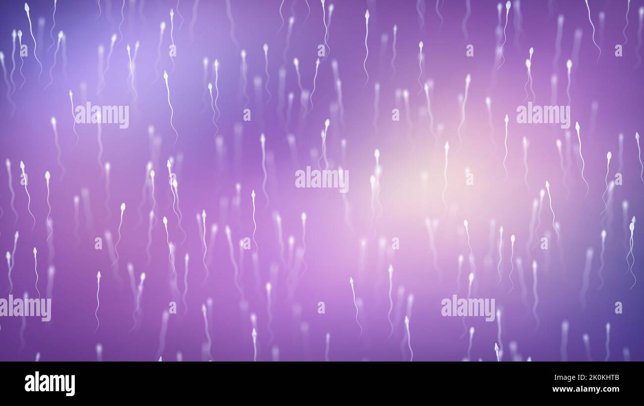 Male reproductive cells (Spermatozoa) on their way to the egg cell ...