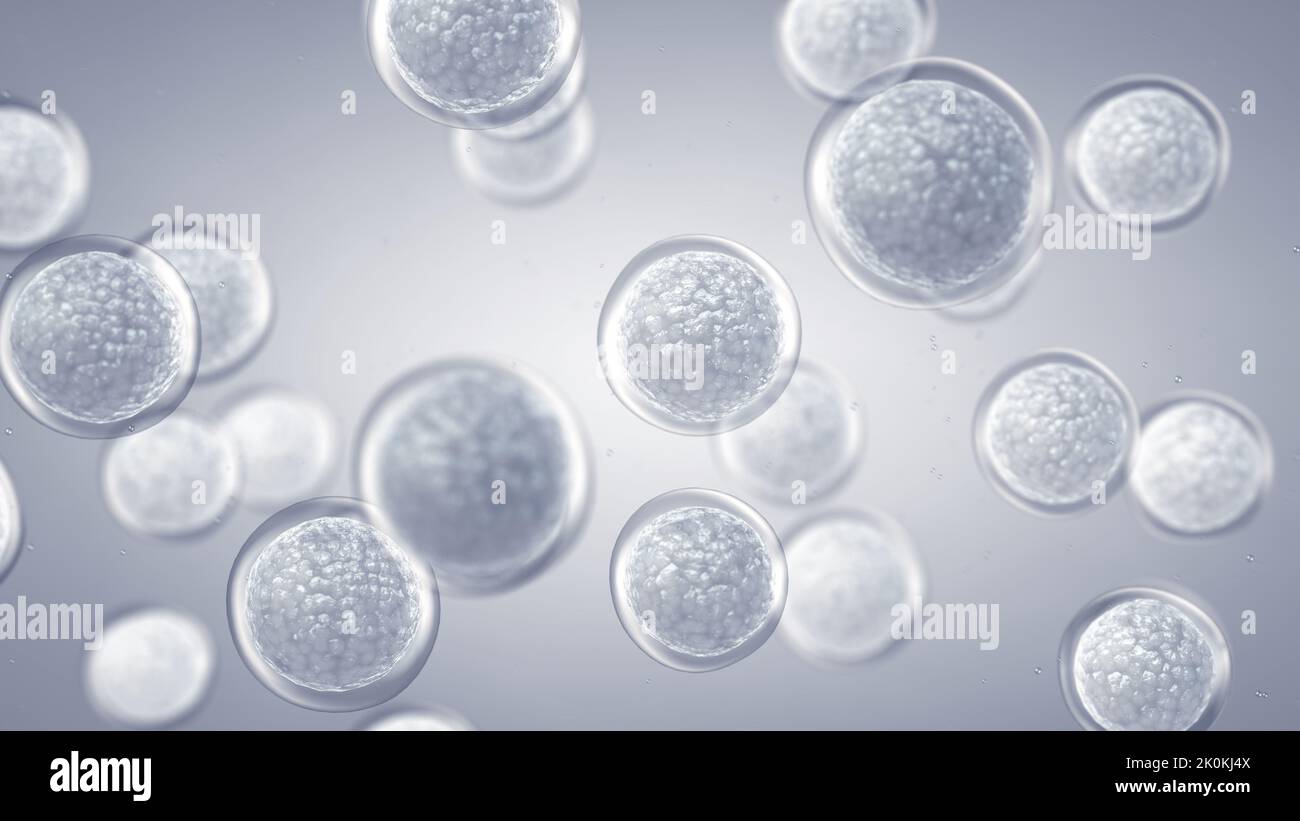 Embryonic stem cells. Repairing damaged cells by reducing inflammation ...