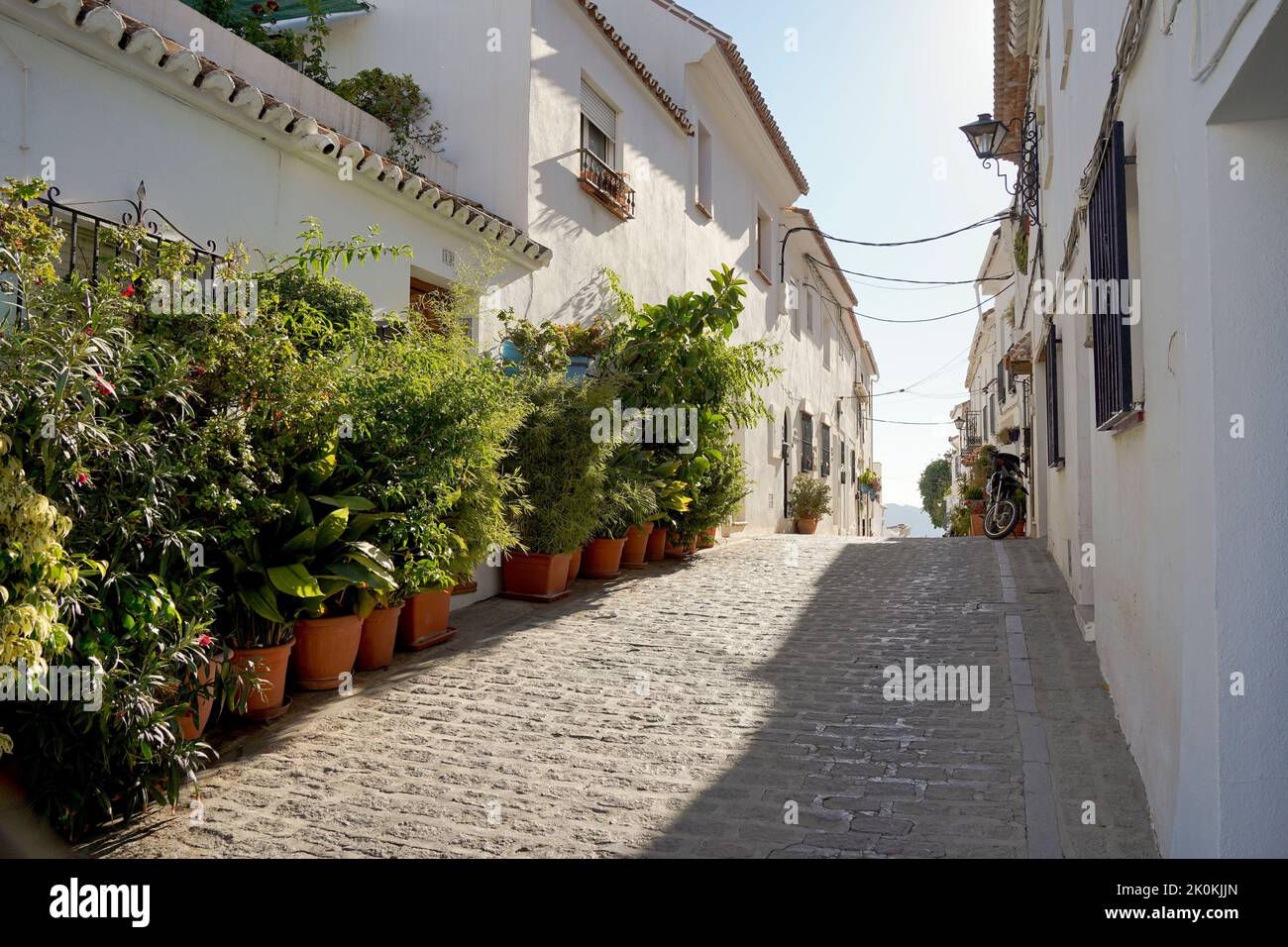 Narrow streets of white washed village of Mijas pueblo with plants ...