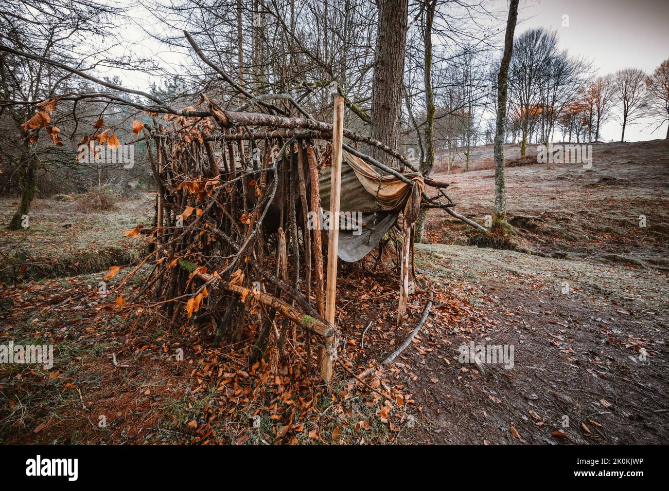 Abandoned cabin in the middle of the forest Stock Photo - Alamy