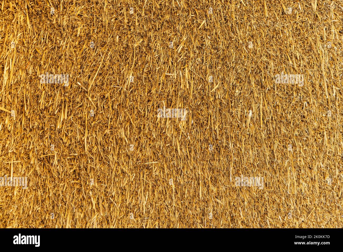 Close-up of straw detail at construction of ecological renewable low ...