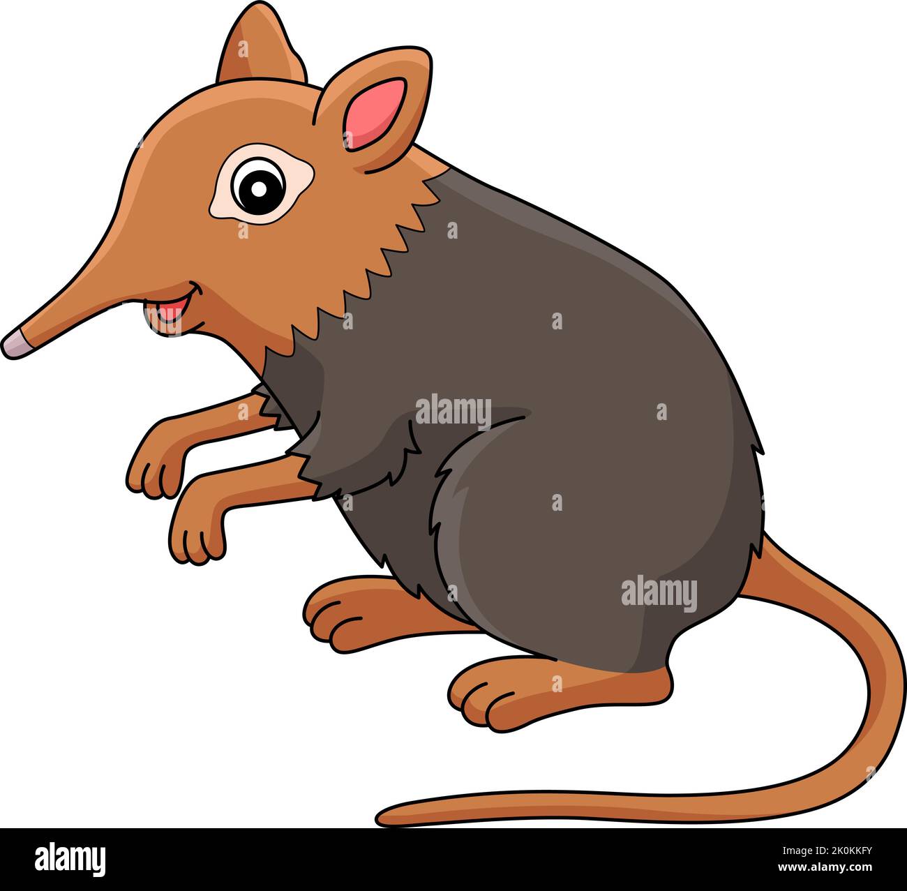 Elephant Shrew Animal Cartoon Colored Clipart Stock Vector Image & Art ...
